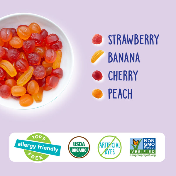 Organic Fruit Snacks | Allergy Free Fruit Snacks | Gluten Free Fruit ...