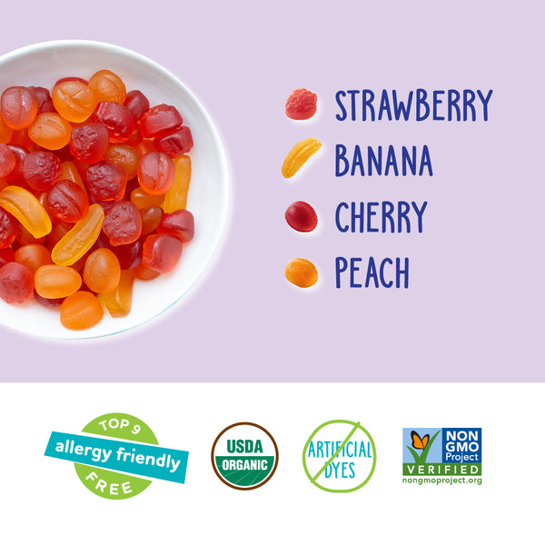 Organic Fruit Snacks | Allergy Free Fruit Snacks | Gluten Free Fruit ...